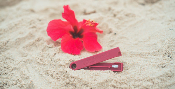 What You Need to Know about Reusable Q-Tips - Lochtree